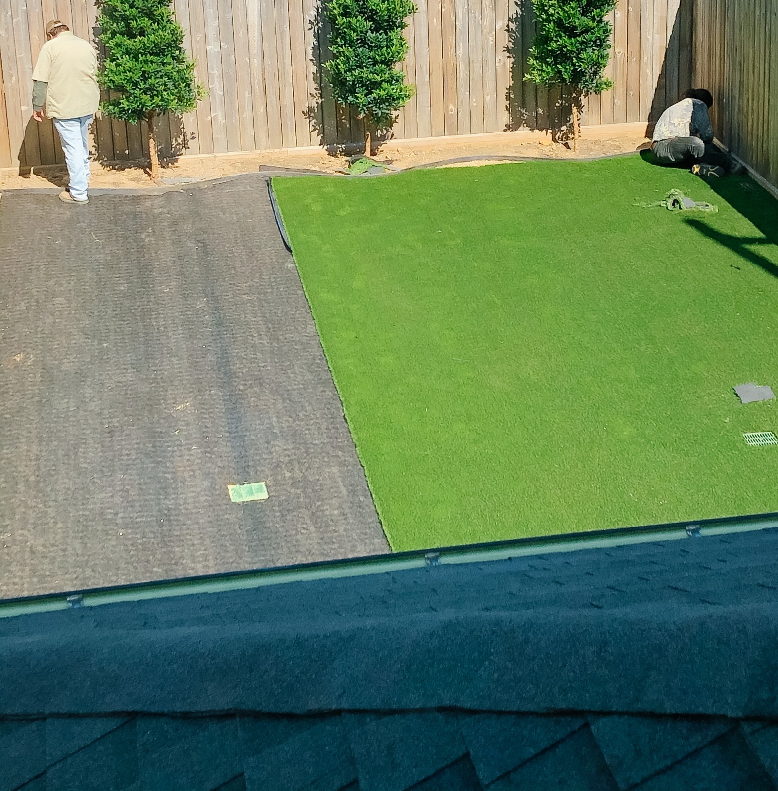 Our Artificial Turf Backyard - Veronika's Blushing